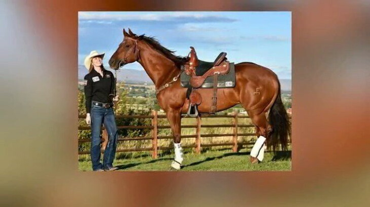 Kellie Collier Looks Back At The Horses That Made Her - Cowboy Channel